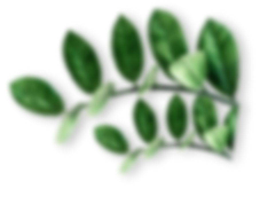 Aplikasi Pelayanan PVT (Apply PVT)